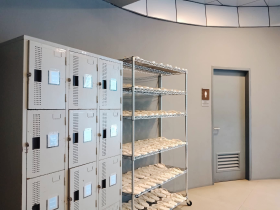 History | 40 Years of Victory